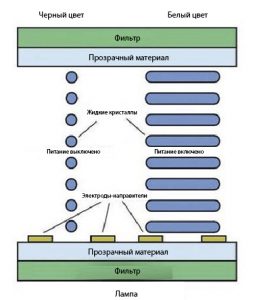 IPS матрица — основные плюсы и минусы | Плюсы и минусы